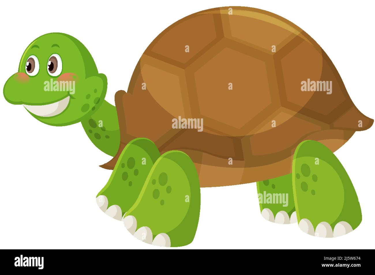 Cute simple turtle cartoon on white background illustration Stock ...