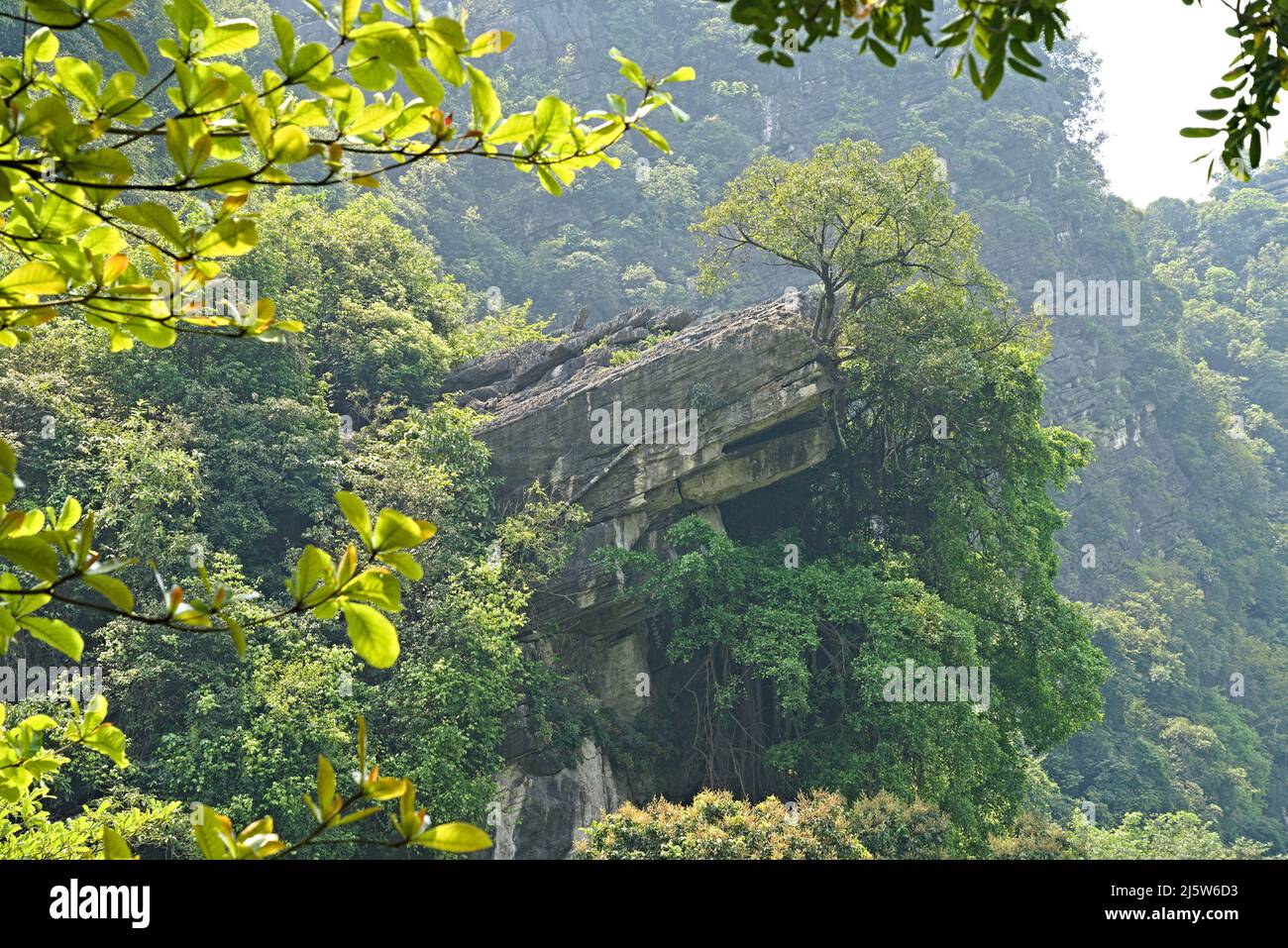 Le dai hanh temple hi-res stock photography and images - Alamy