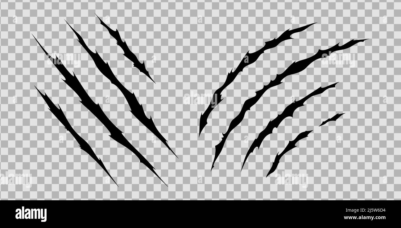 Claw scratches of wild animal. Cat scratches marks isolated in ...