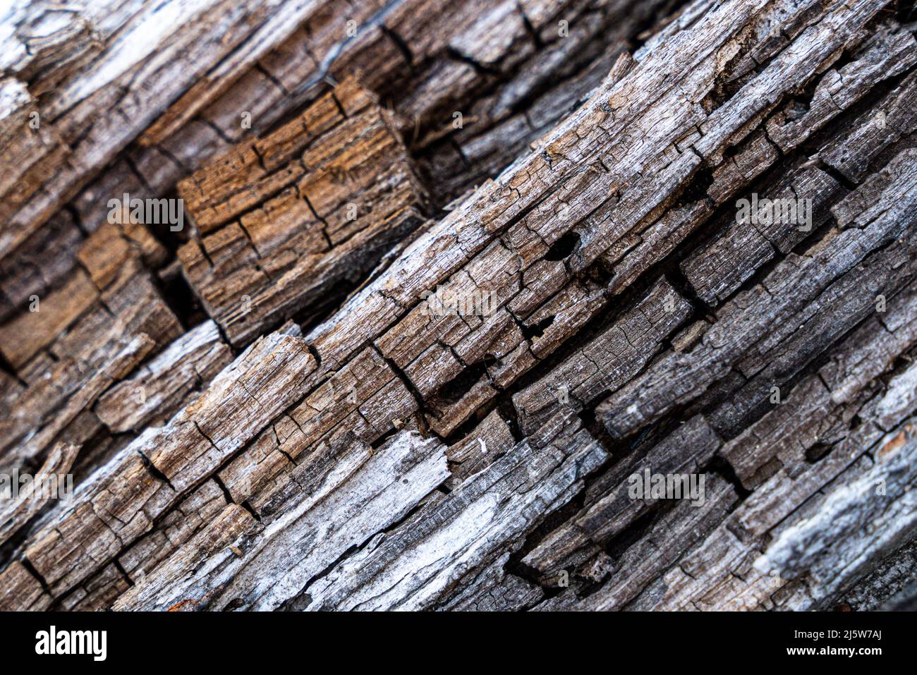 Old wooden background or texture. High quality photo Stock Photo - Alamy