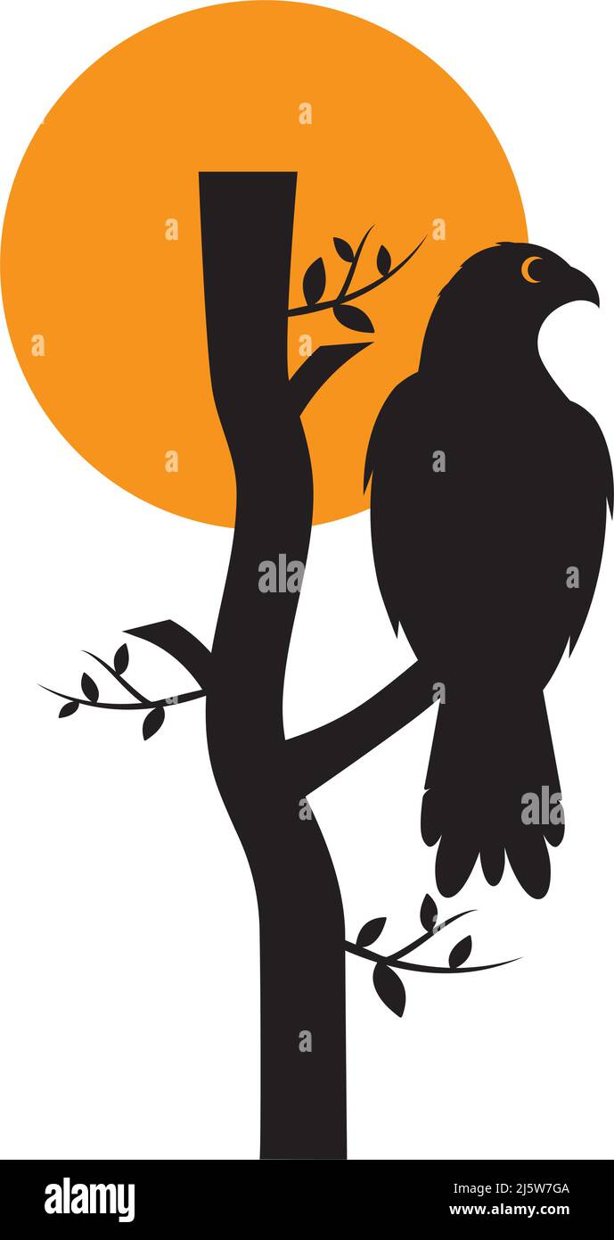 Hawk bird on branch, vector. Hawk bird illustration isolated on white ...