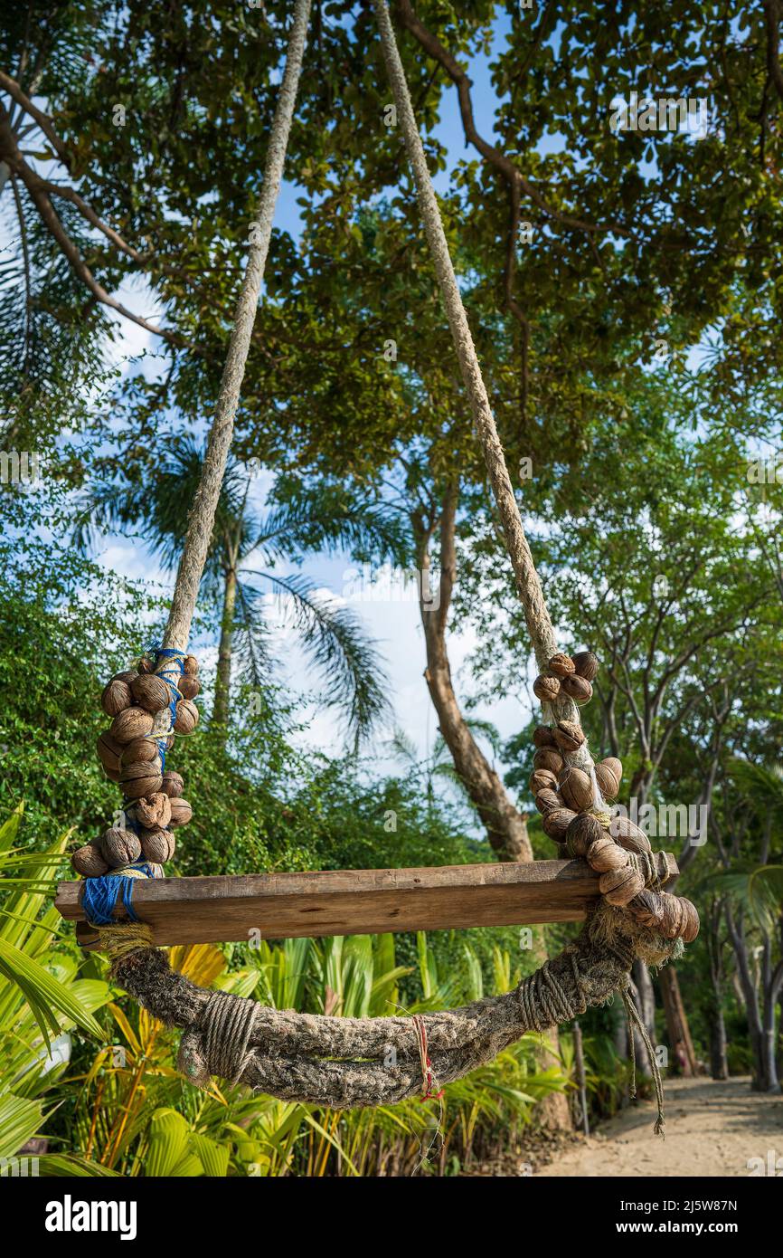 Swing hang from tropical tree over sand beach in garden, island Koh Phangan, Thailand. Summer ...