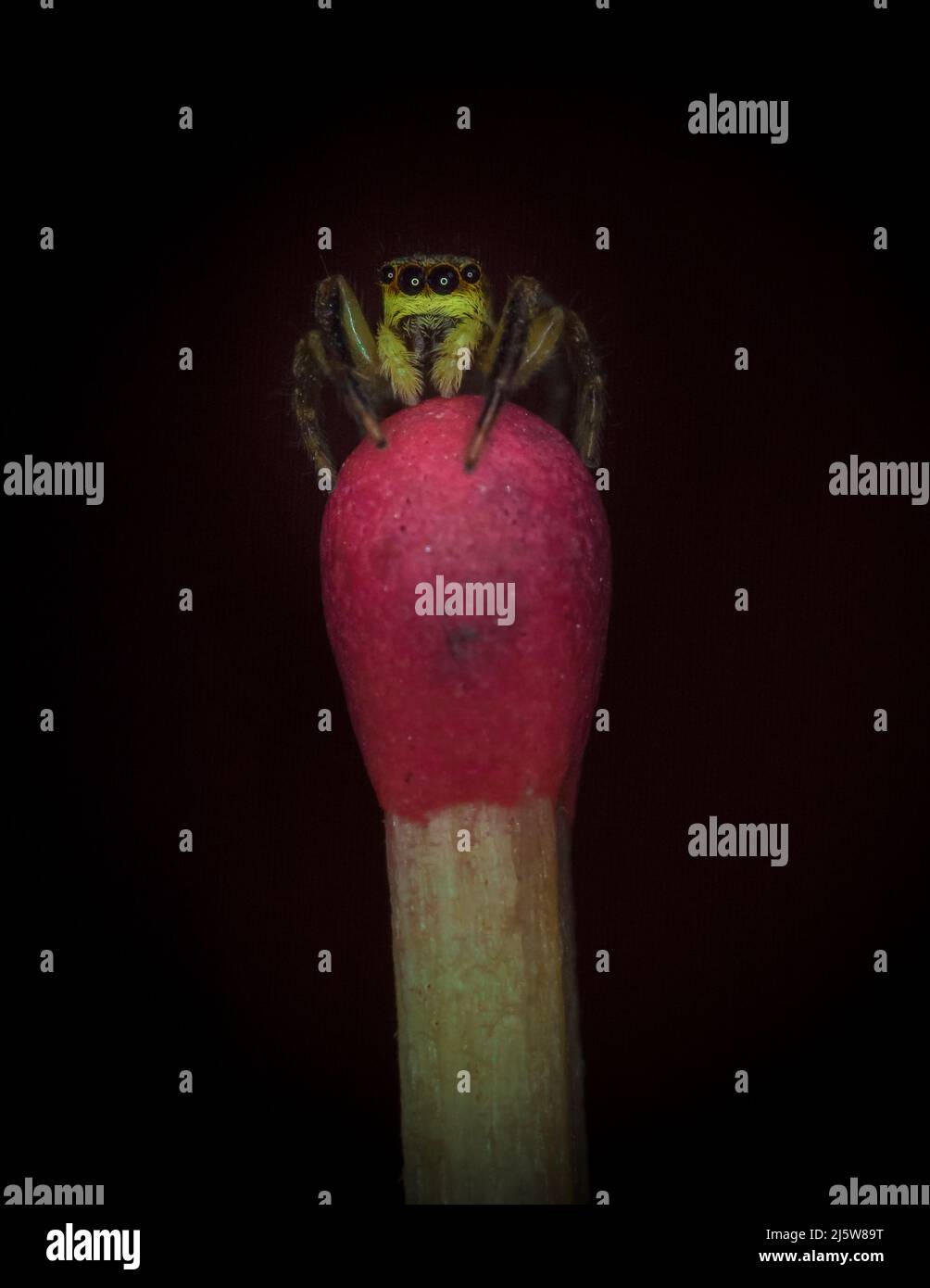 Matchstick art hi-res stock photography and images - Alamy