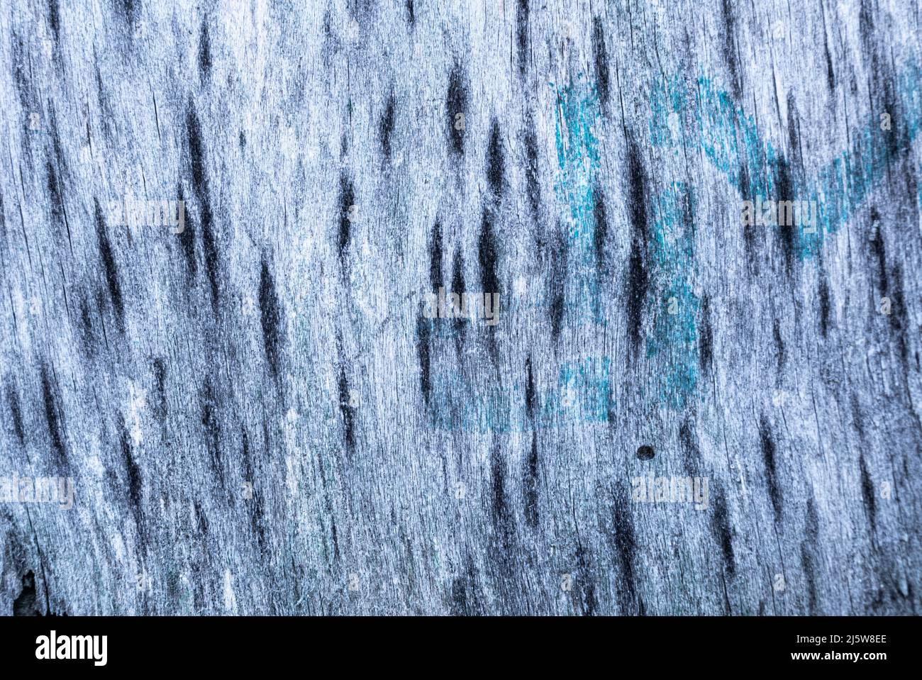 vintage background texture. old wood panels. High quality photo Stock ...