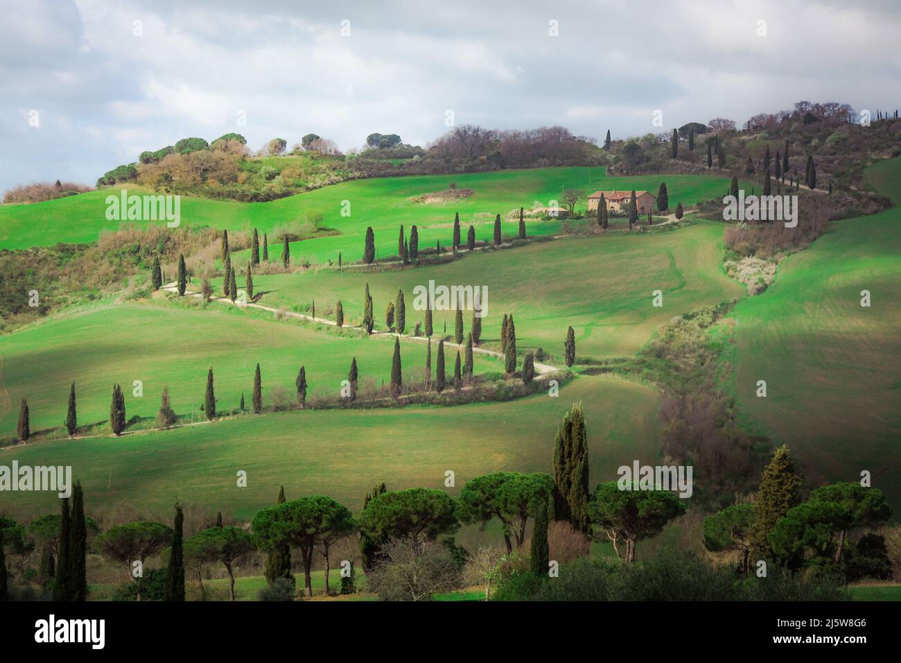 Tuscan road with cypresses and green fields, Italy, La Foce Road Stock ...