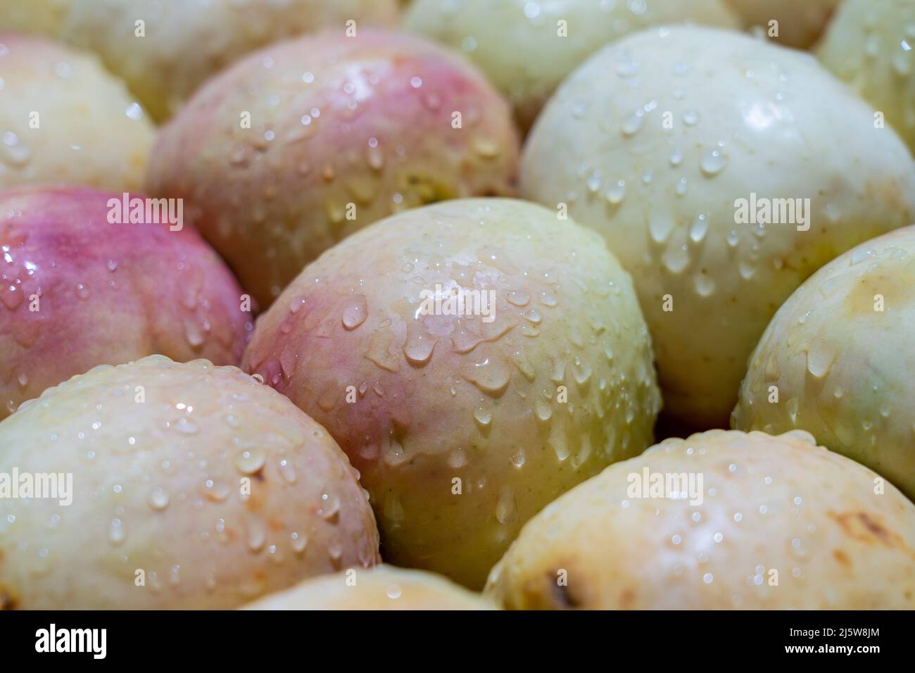 Zanzibar apple hi-res stock photography and images - Alamy