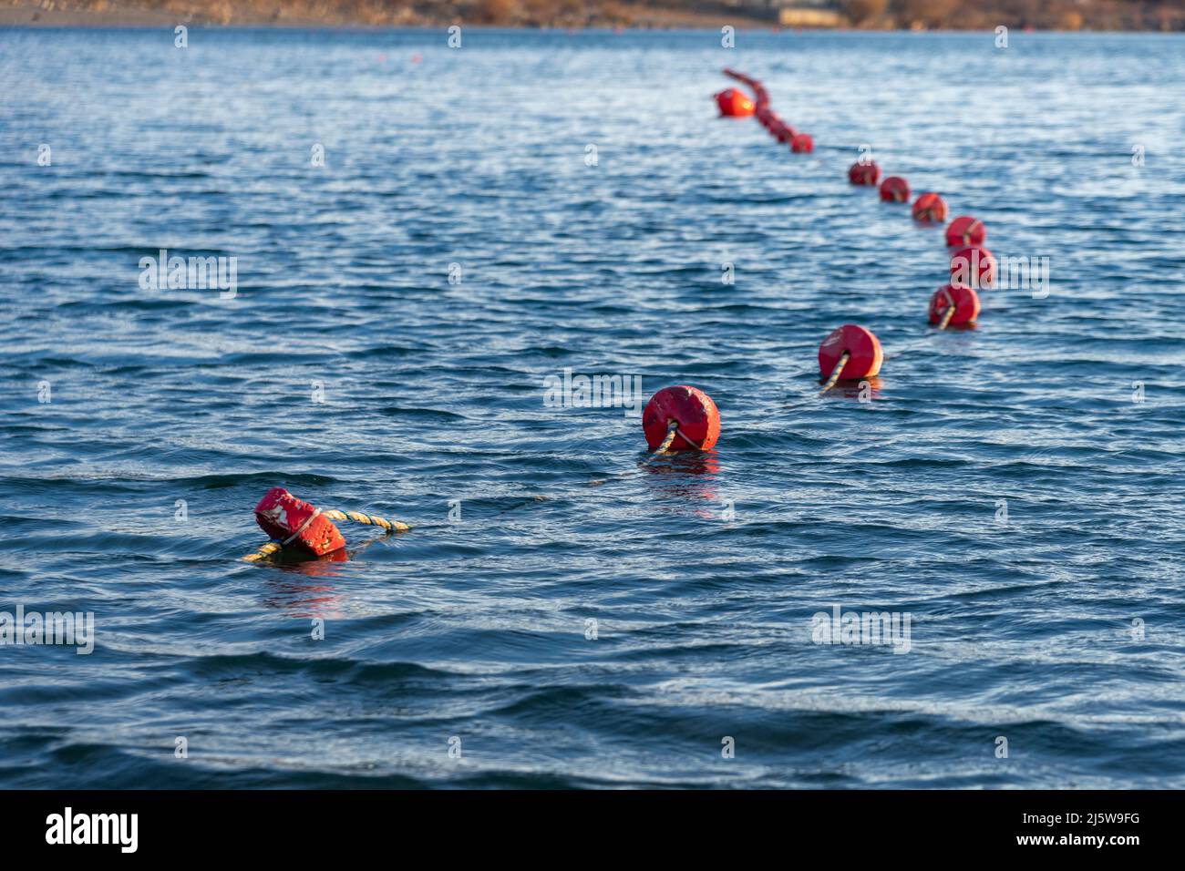 swimming area marked with red floating spheres on rope. Nature Stock ...