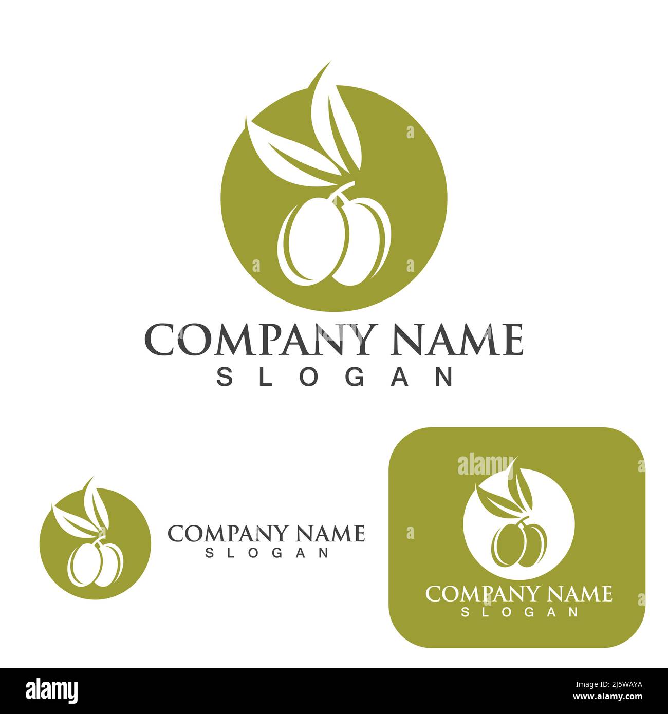 Olive tree vector illustration design template Stock Vector Image & Art ...