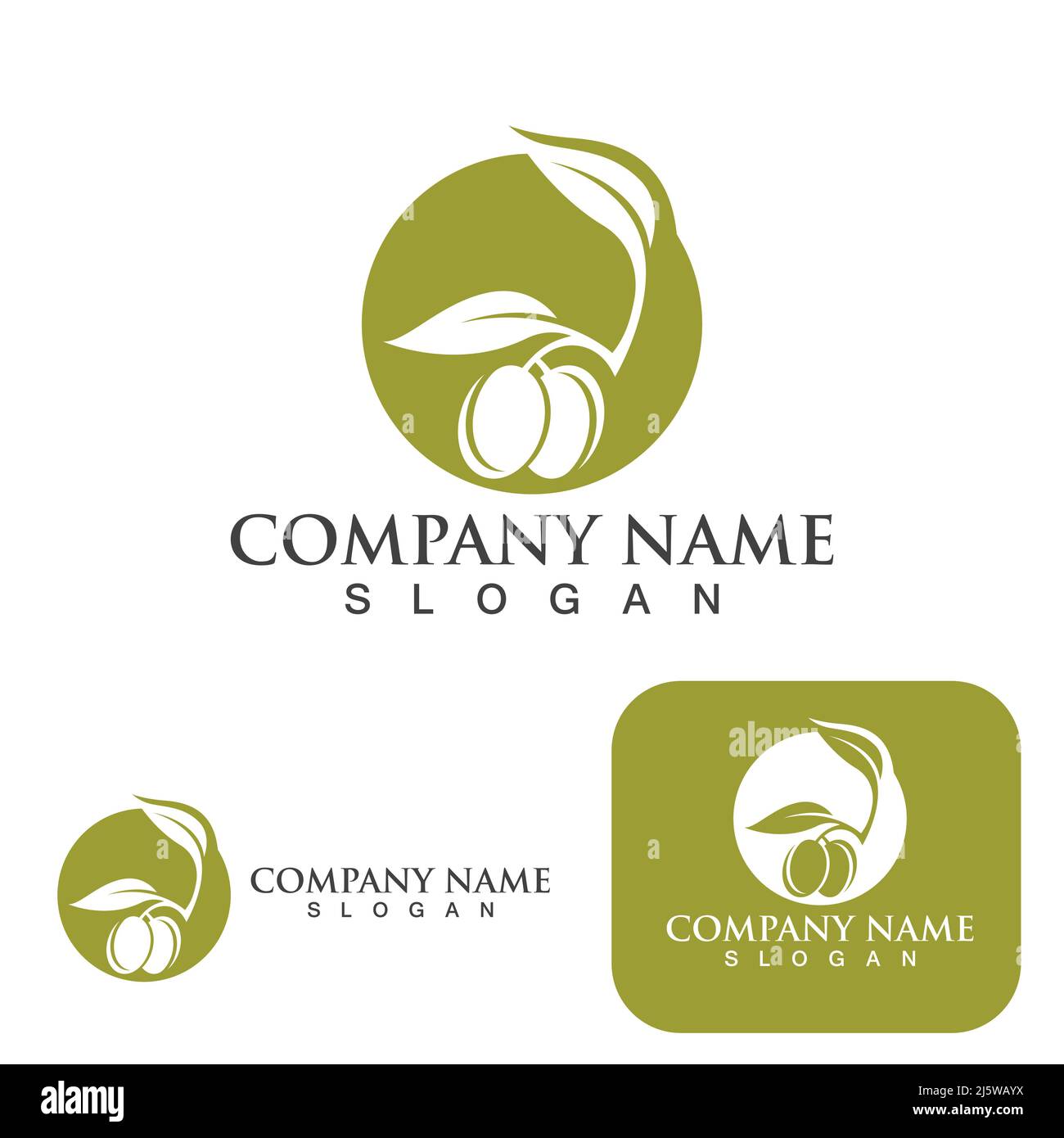 Olive tree vector illustration design template Stock Vector Image & Art ...