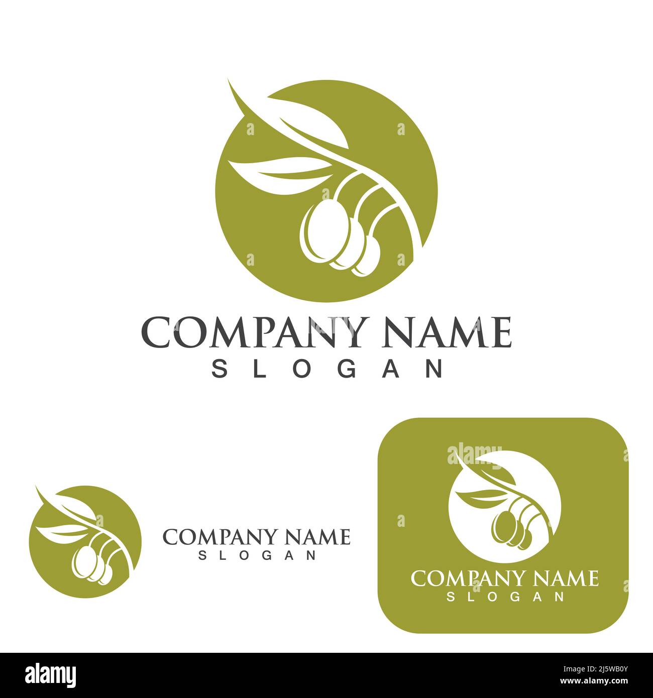 Olive tree vector illustration design template Stock Vector Image & Art ...