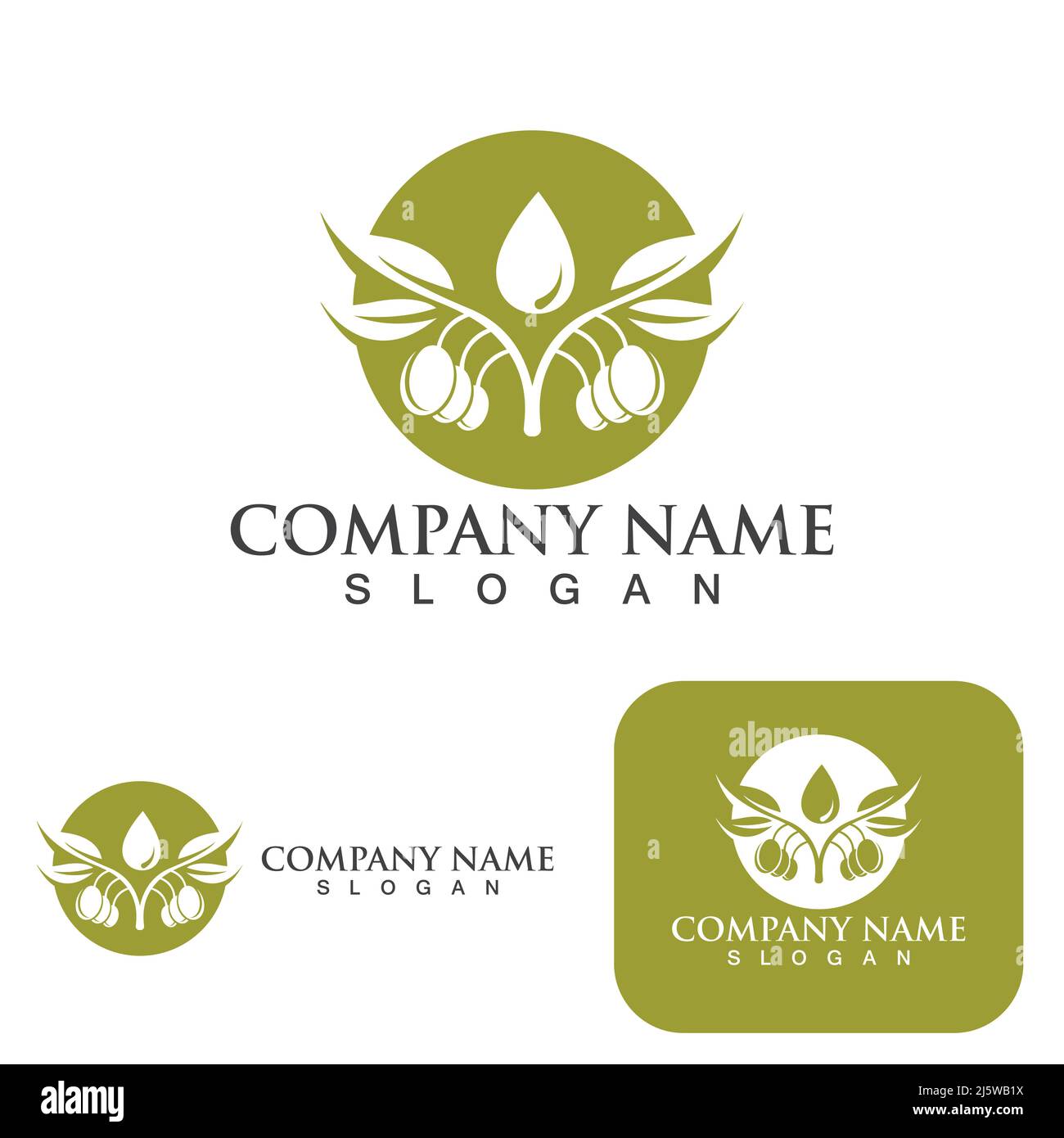 Olive tree vector illustration design template Stock Vector Image & Art ...