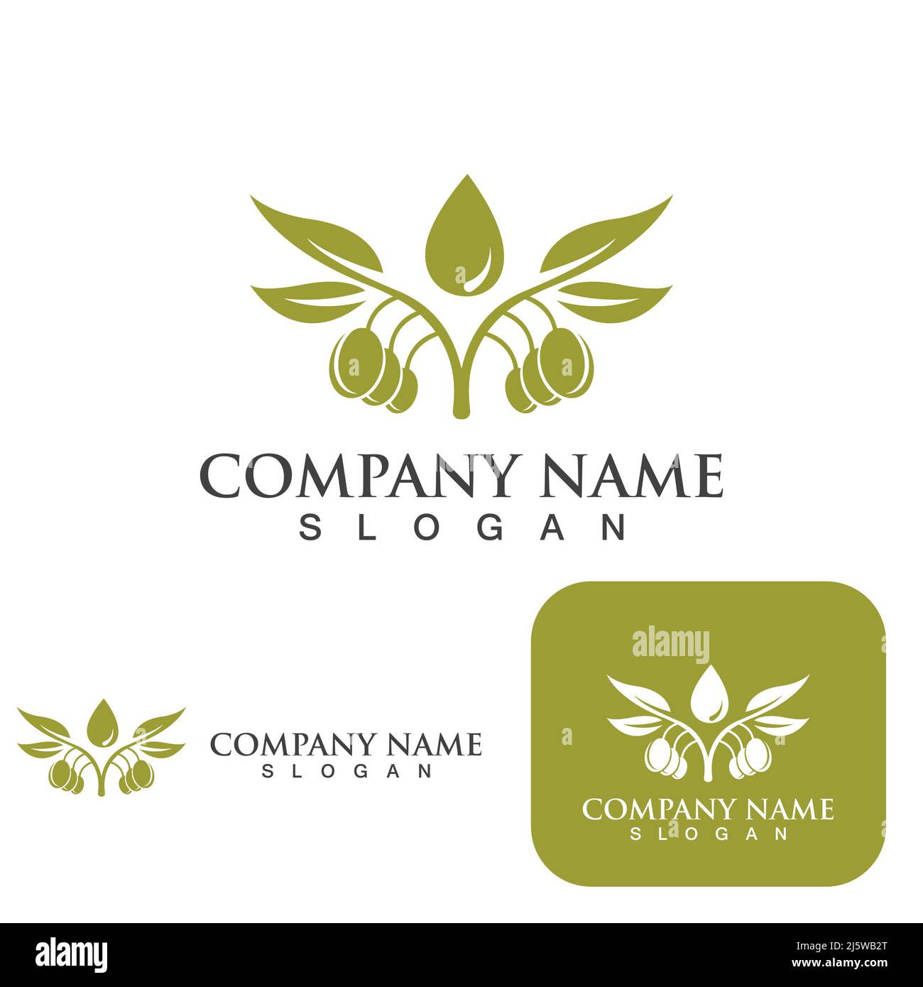 Olive tree vector illustration design template Stock Vector Image & Art ...