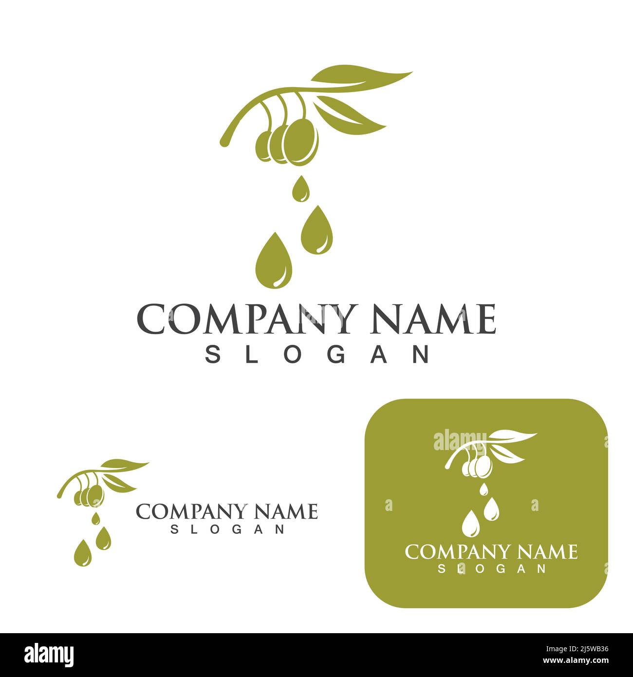 Olive tree vector illustration design template Stock Vector Image & Art ...