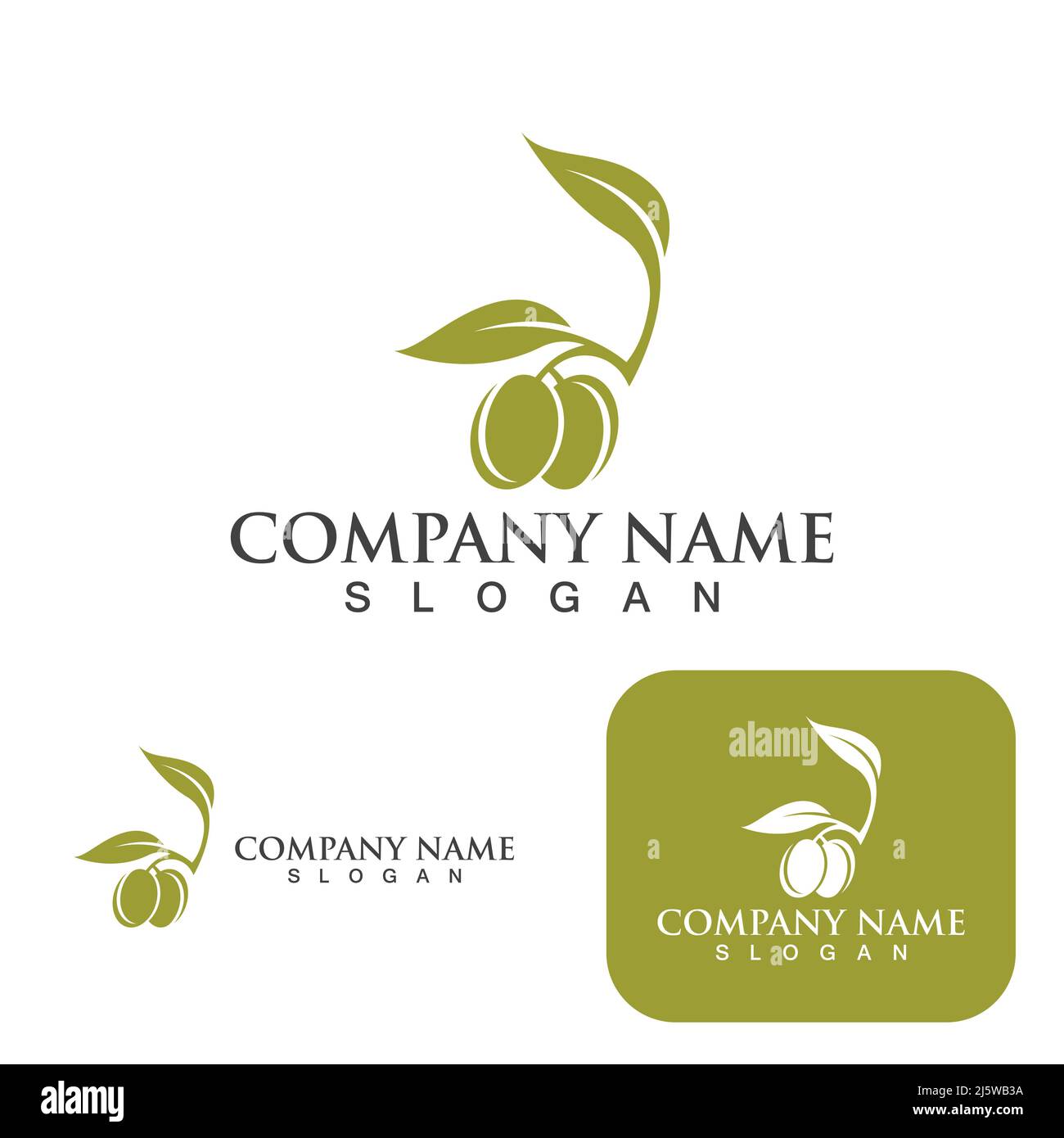 Olive tree vector illustration design template Stock Vector Image & Art ...