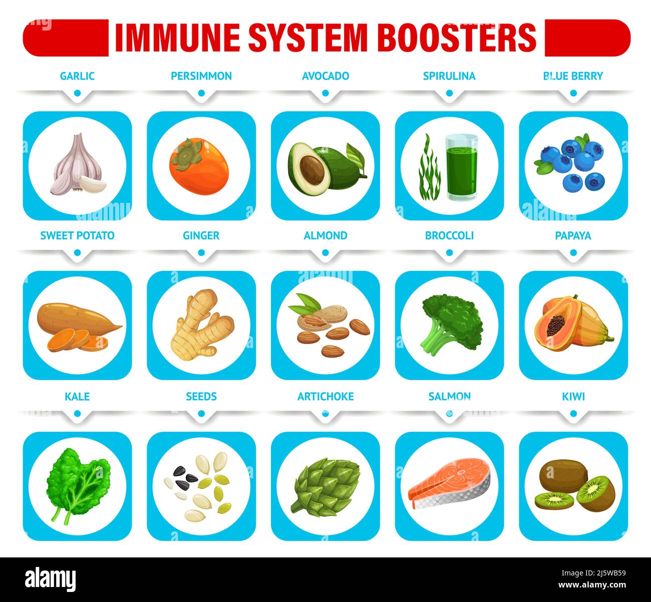 Immune system boosters chart with healthy food and healthcare nutrition ...