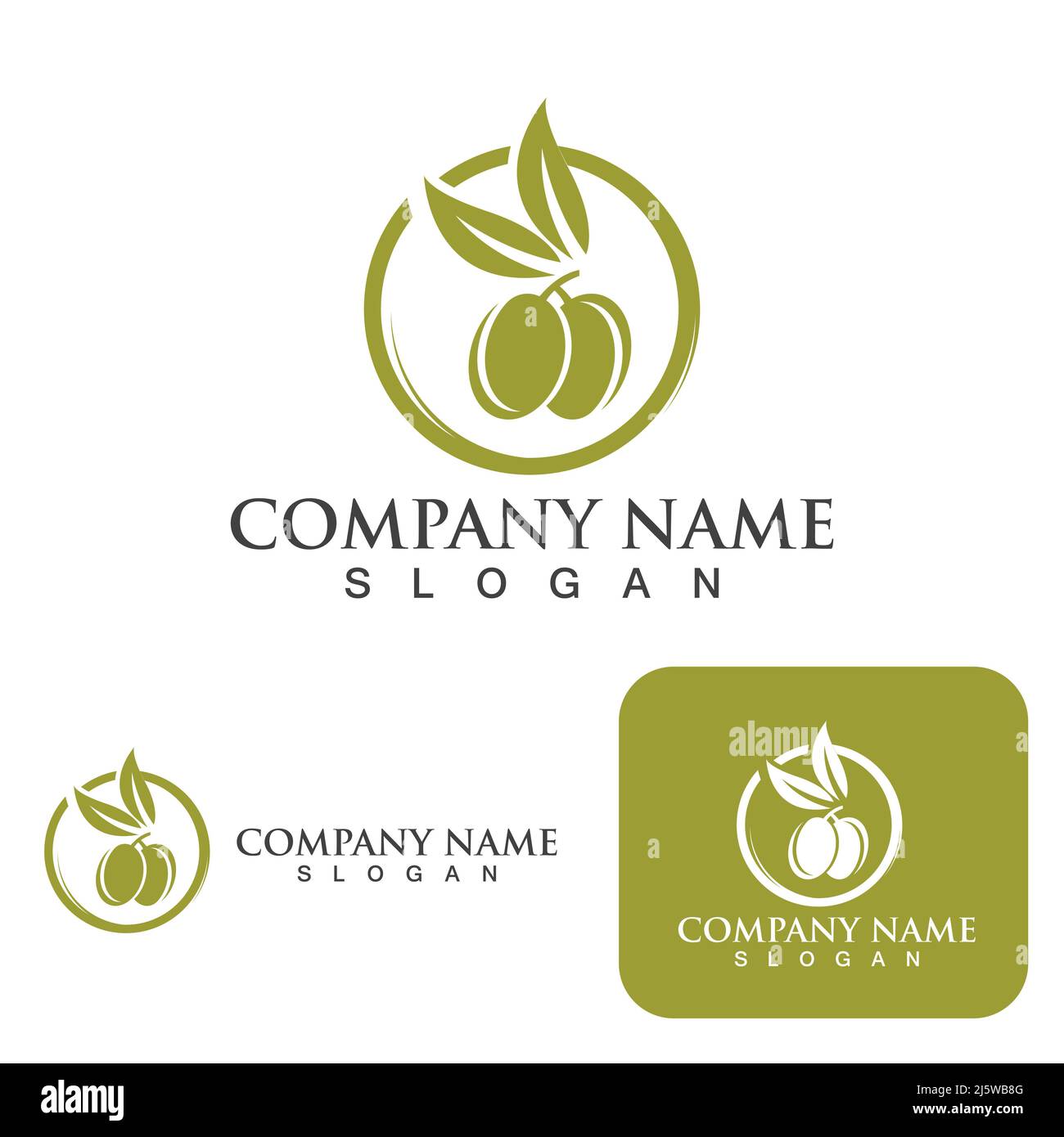 Olive tree vector illustration design template Stock Vector Image & Art ...