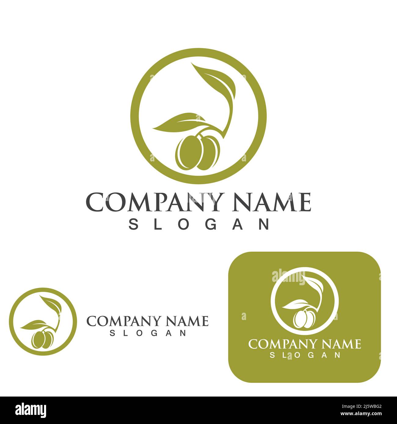 Olive tree vector illustration design template Stock Vector Image & Art ...