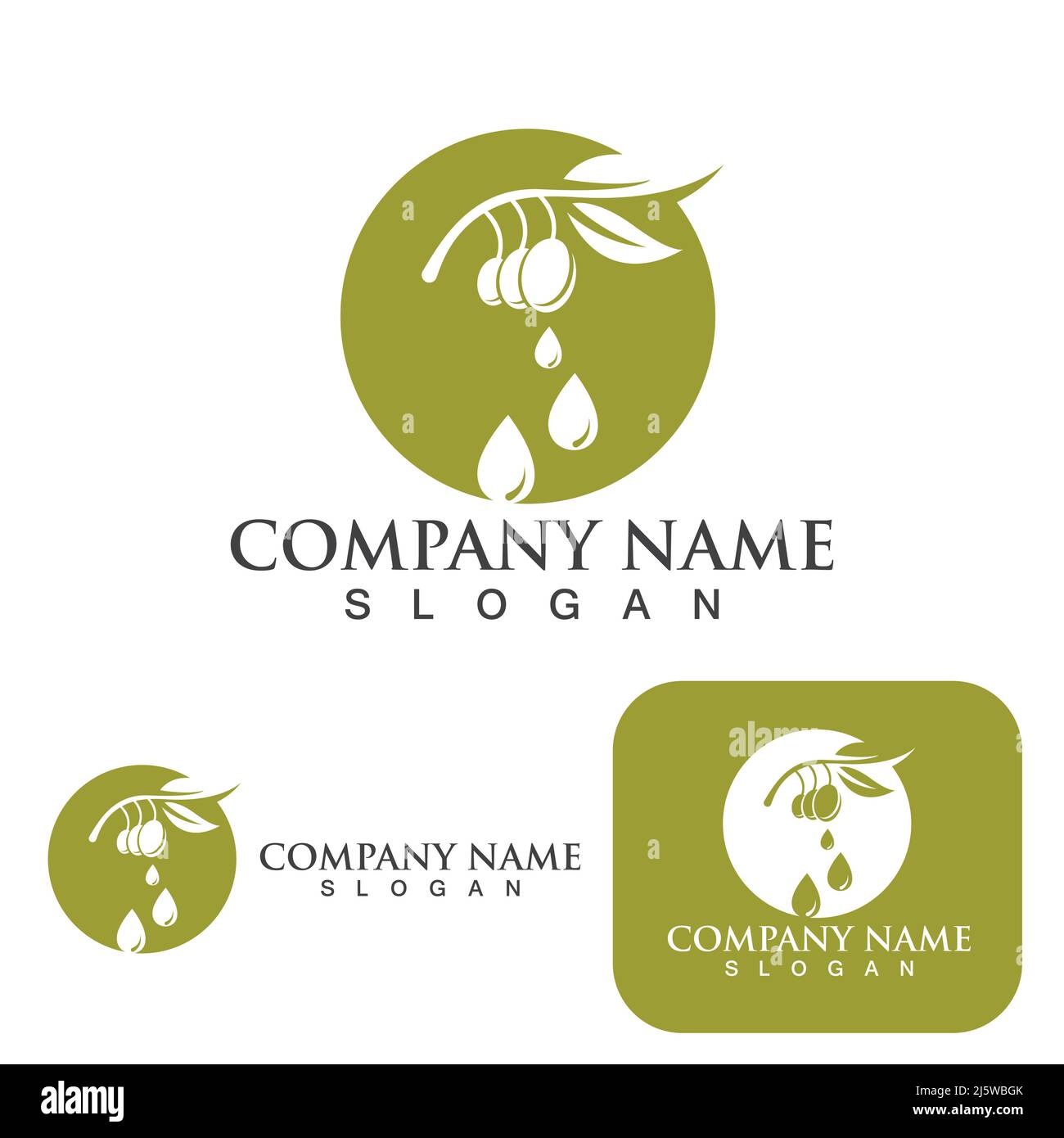 Olive tree vector illustration design template Stock Vector Image & Art ...