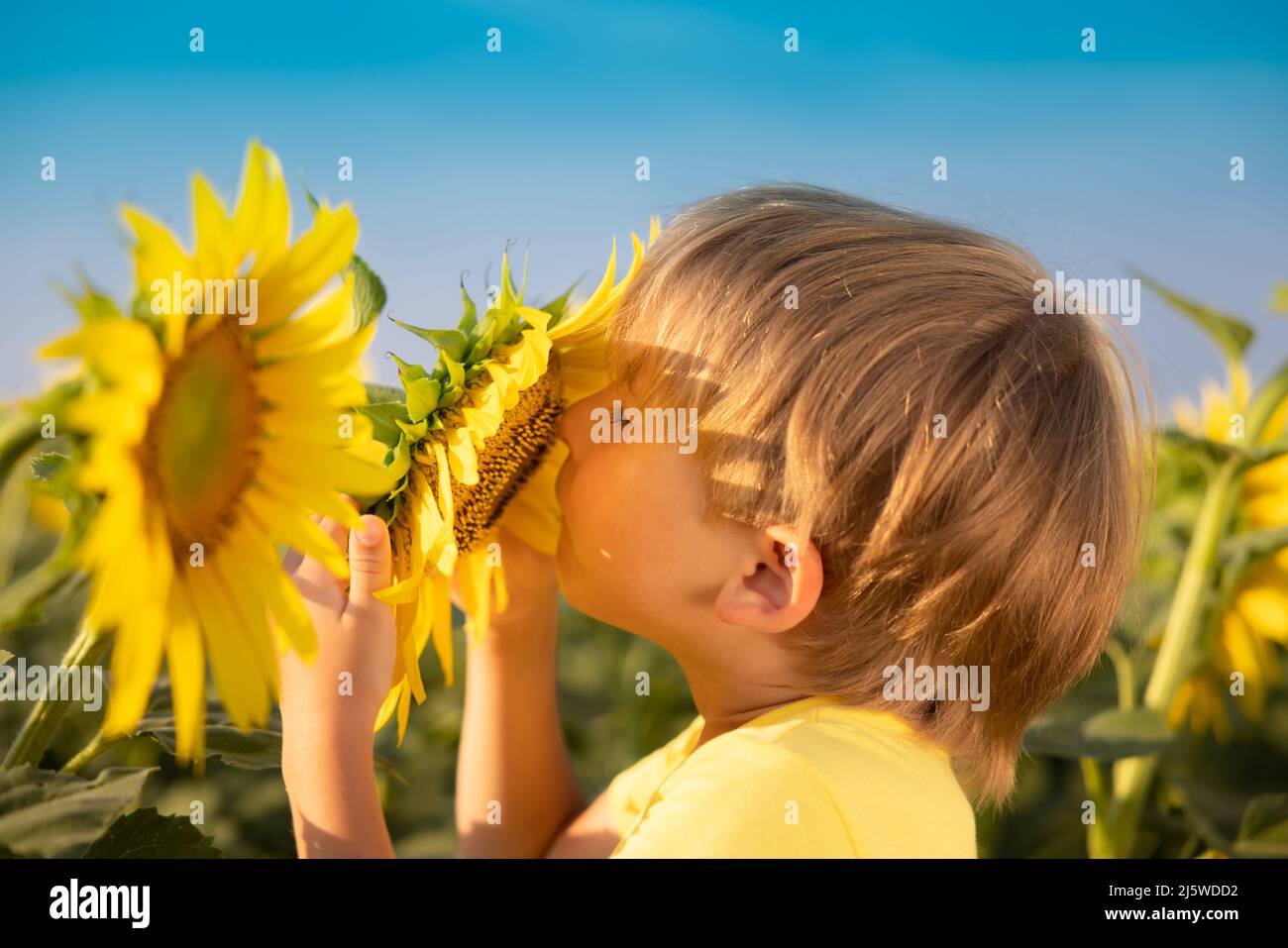 Happy child having fun in spring field of sunflowers. Outdoor portrait ...