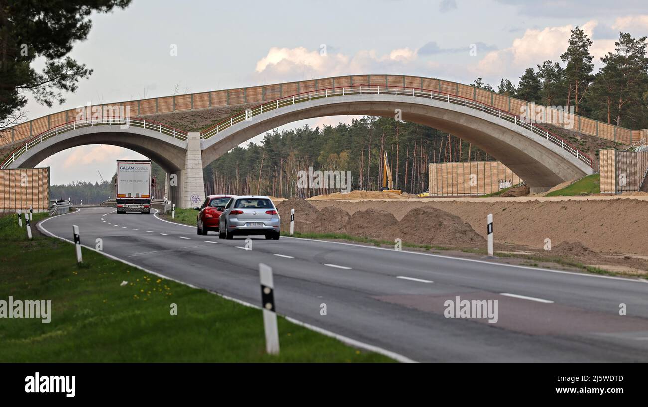 Dolle, Germany. 25th Apr, 2022. A wildlife bridge crosses the B189 and ...