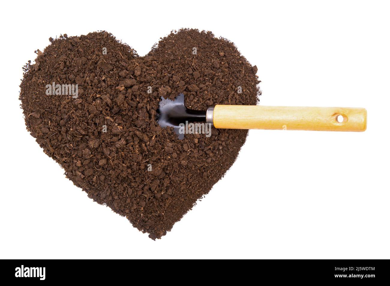 Hand held transplanter in a heart shaped pile of soil isolated on white ...