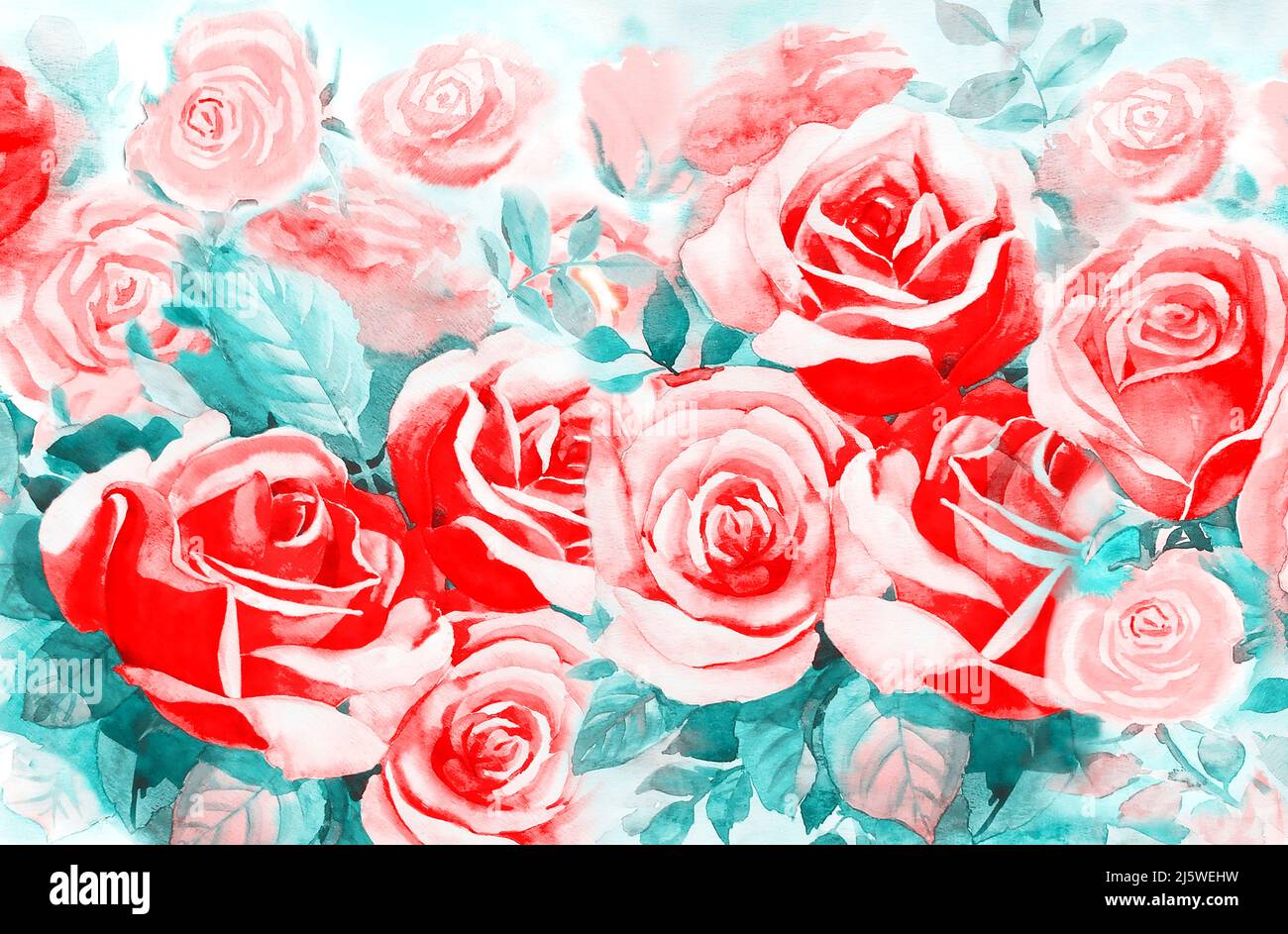 Abstract Watercolor Roses Watercolor Rose Hi Res Stock Photography And