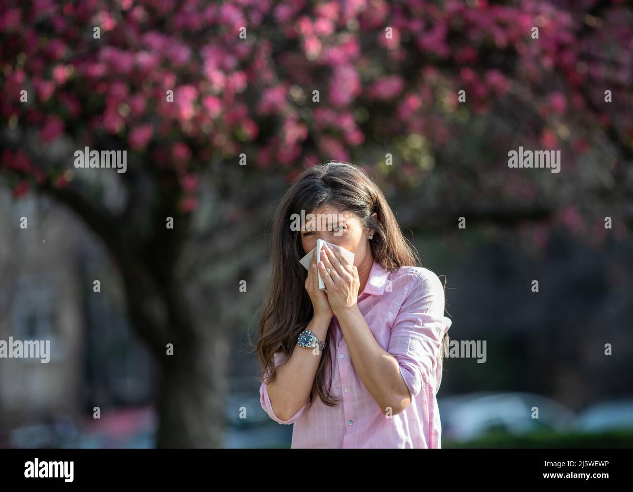 Young woman wiping nose with napkin in front of blooming tree. Spring allergy attack concept ...