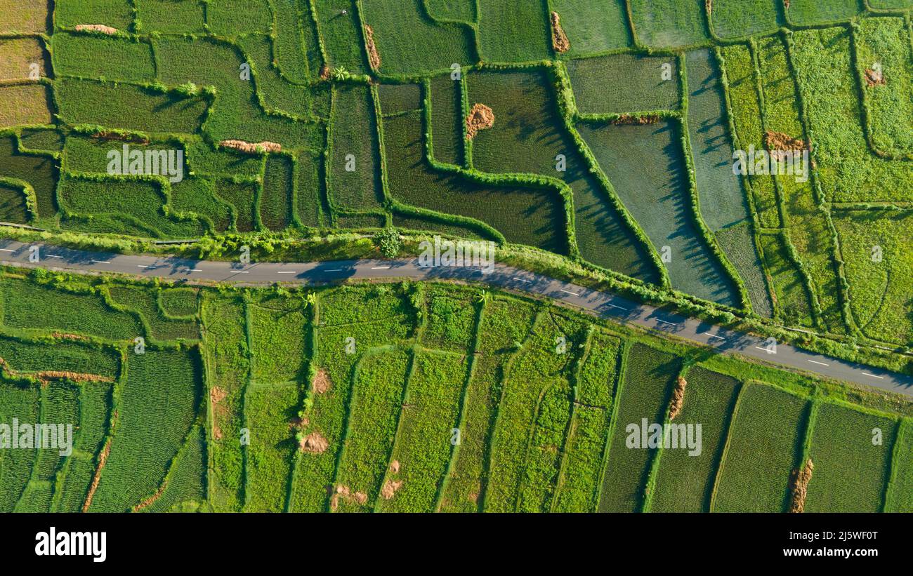 Beautiful shot rice terrace in hi-res stock photography and images - Alamy
