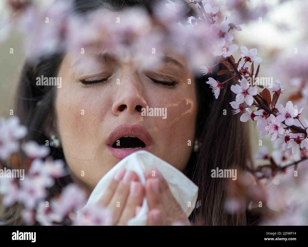 Young woman sneezing in napkin in front of blooming tree. Spring allergy attack concept Stock ...