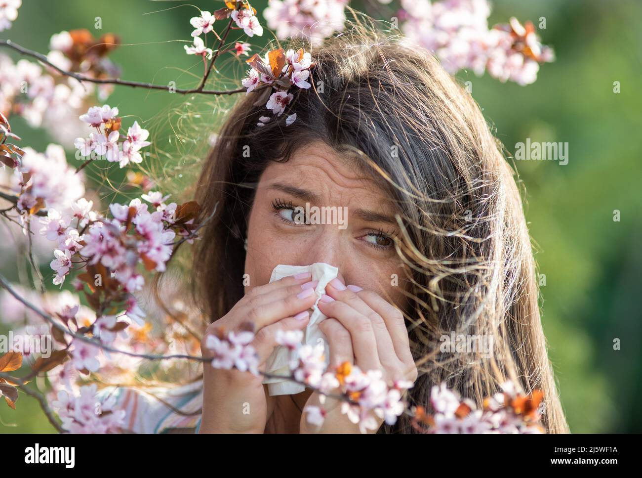 Afraid young woman wiping nose with napkin in front of blooming tree. Spring allergy attack ...
