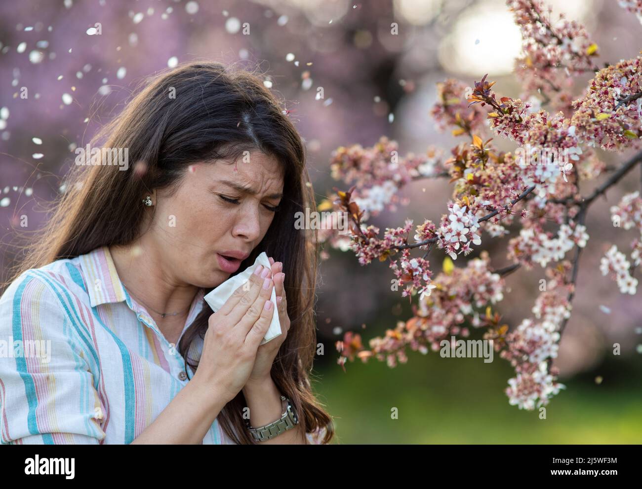 Afraid young woman sneezing in napkin in front of blooming tree. Spring allergy attack concept ...