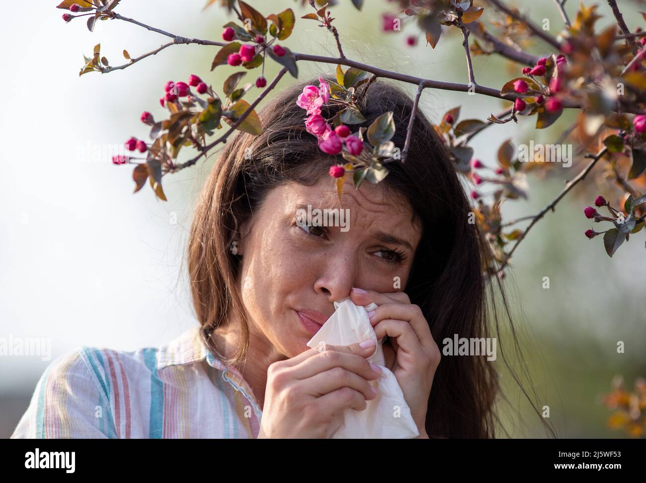 Afraid young woman wiping nose with napkin in front of blooming tree. Spring allergy attack ...