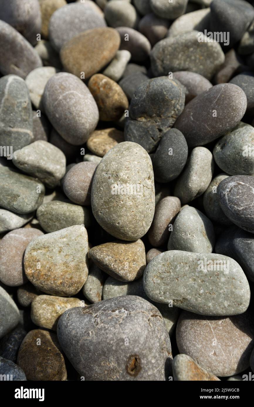 Nature background of gray sea pebbles, pebble for garden decor Stock ...