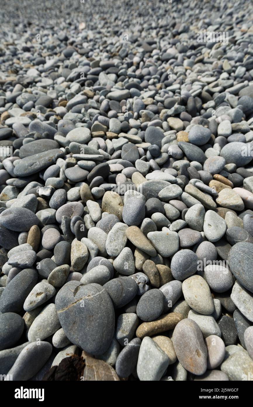 Nature background of gray sea pebbles, pebble for garden decor Stock ...