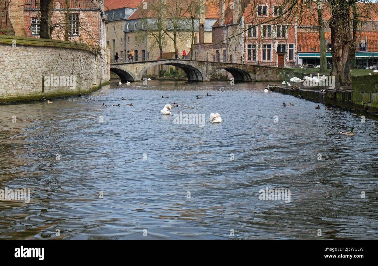 Exterior European architecture and building design along Canal boat ...
