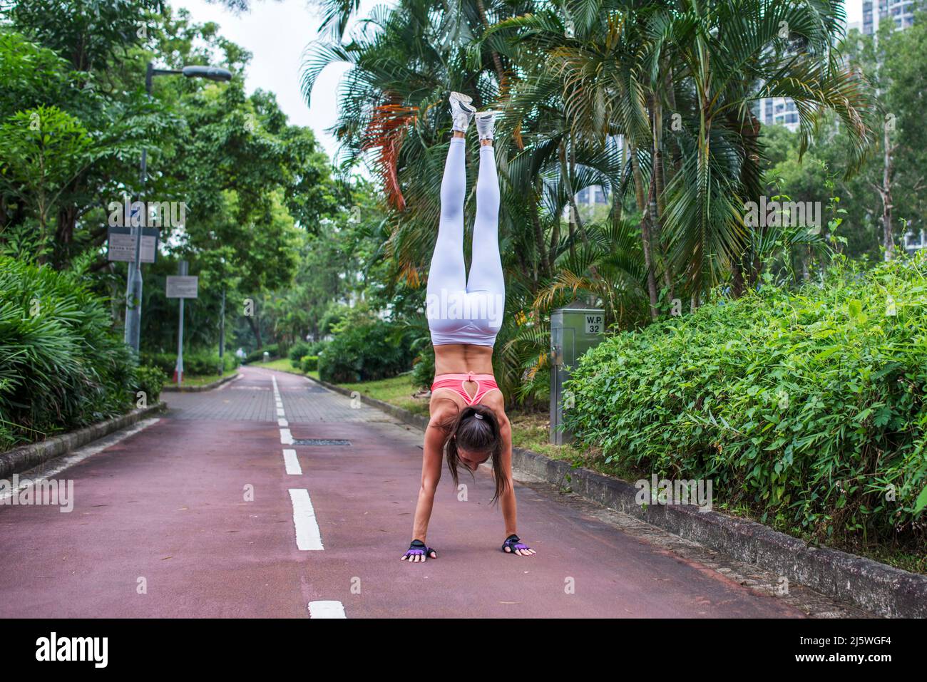 Rear view of fitness woman doing handstand exercise standing straight ...