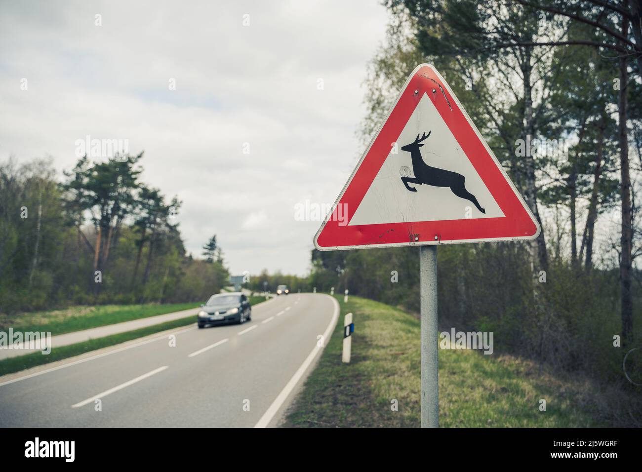 Stag warning sign hi-res stock photography and images - Alamy