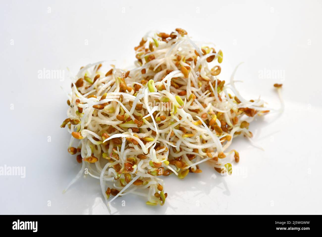 Crimson clover sprouts hi-res stock photography and images - Alamy