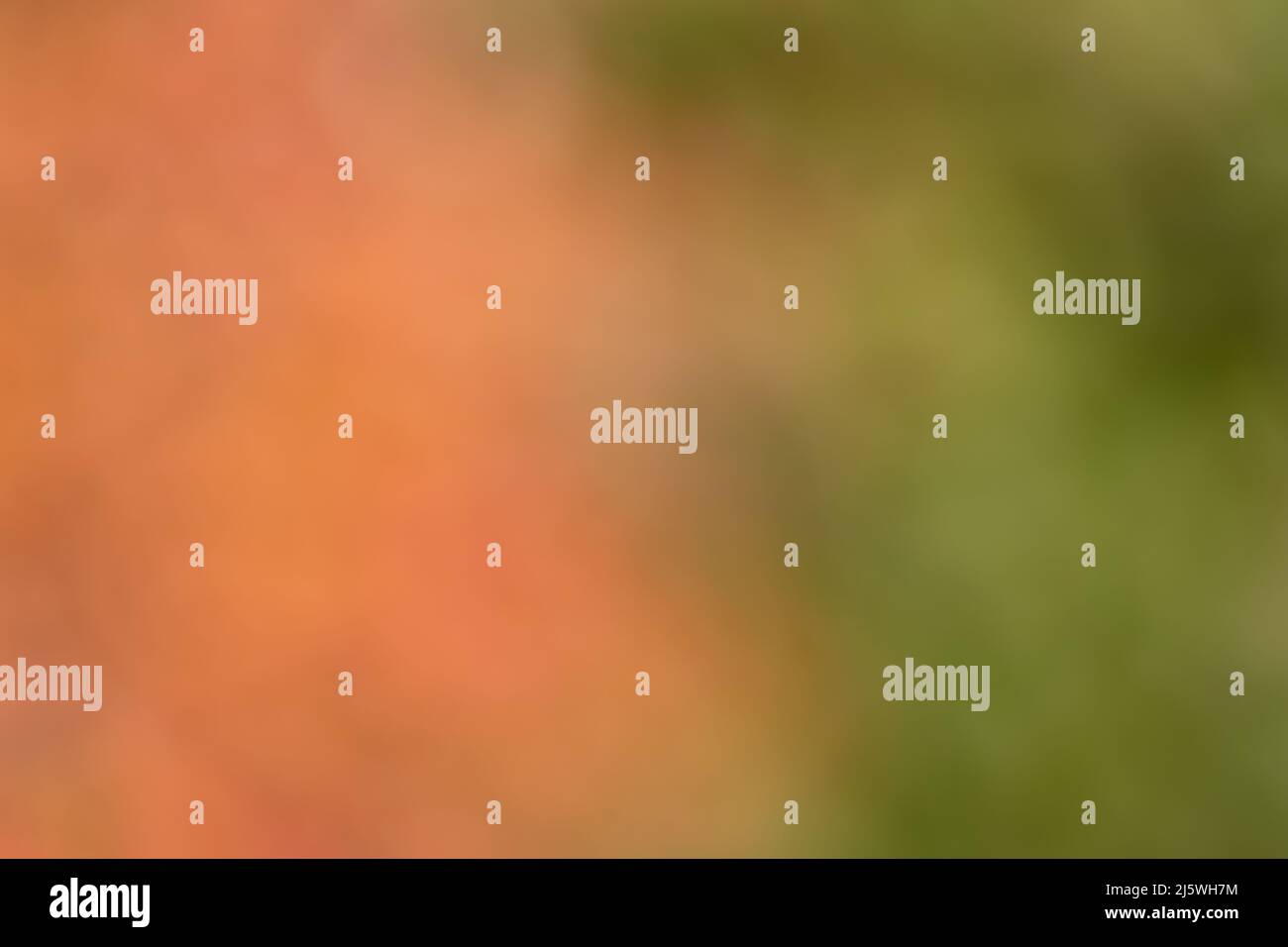 Blurred background with natural orange colors with a gradient of orange ...