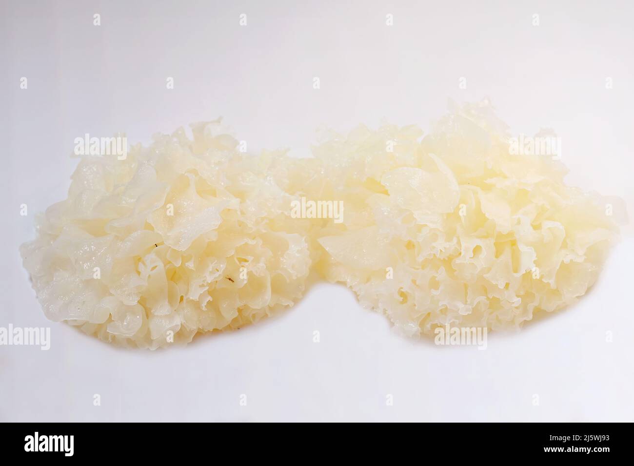 Tremella Fuciformis