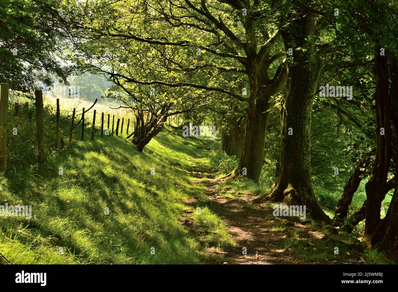 Shady side hill hi-res stock photography and images - Alamy