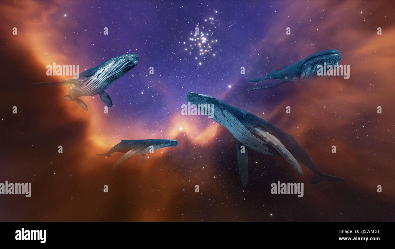 Big humpback whale swims in clouds, stars cosmos sky and planet ...