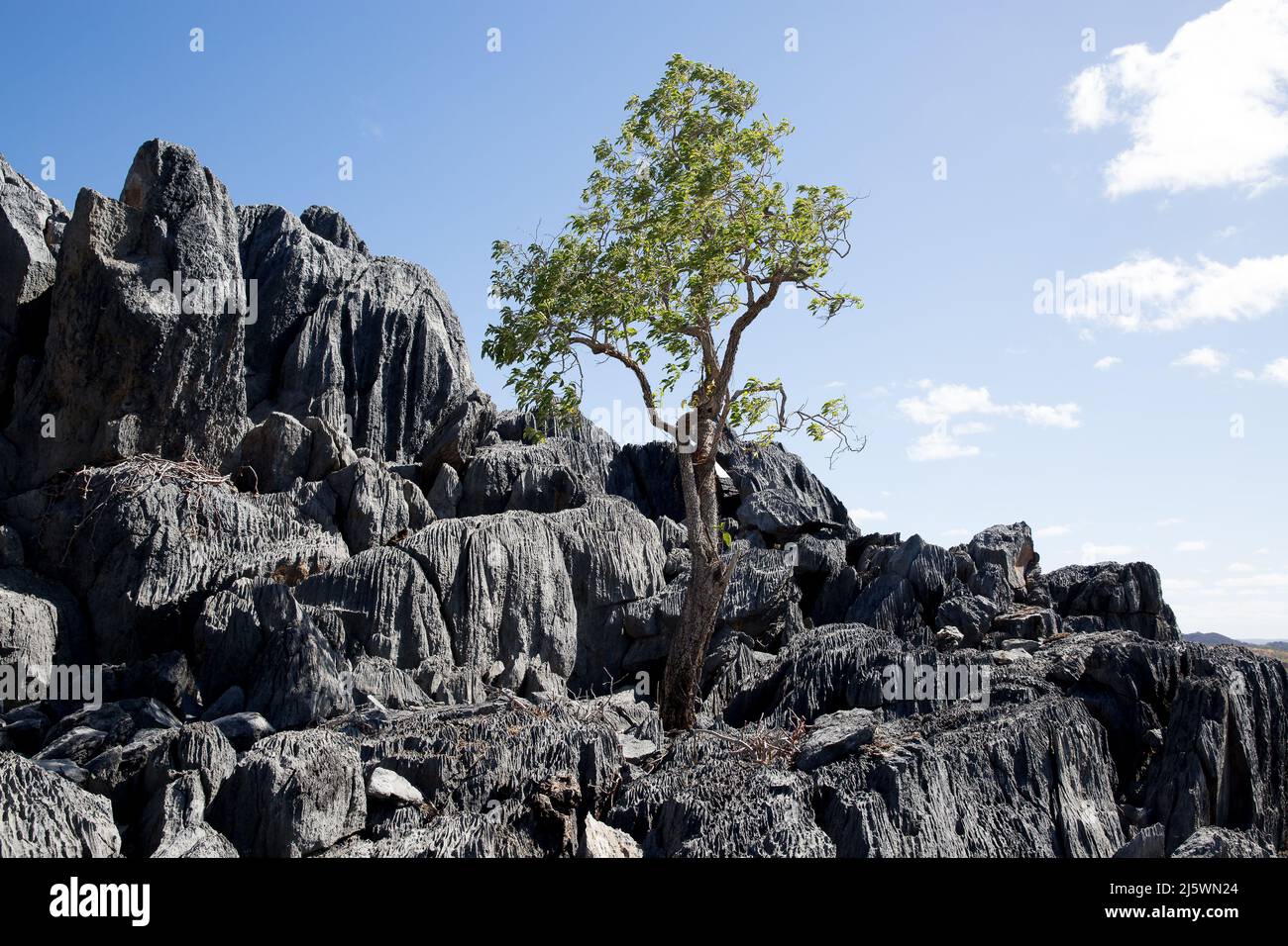 Balancing Rock at Chillagoe Mungana National park in western Queensland ...