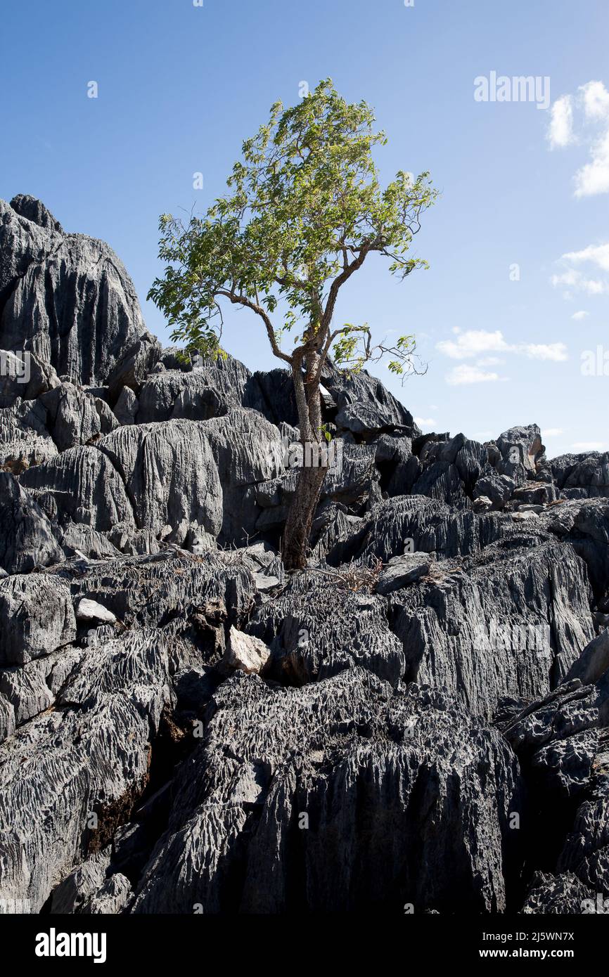 Chillagoe landscape hi-res stock photography and images - Alamy