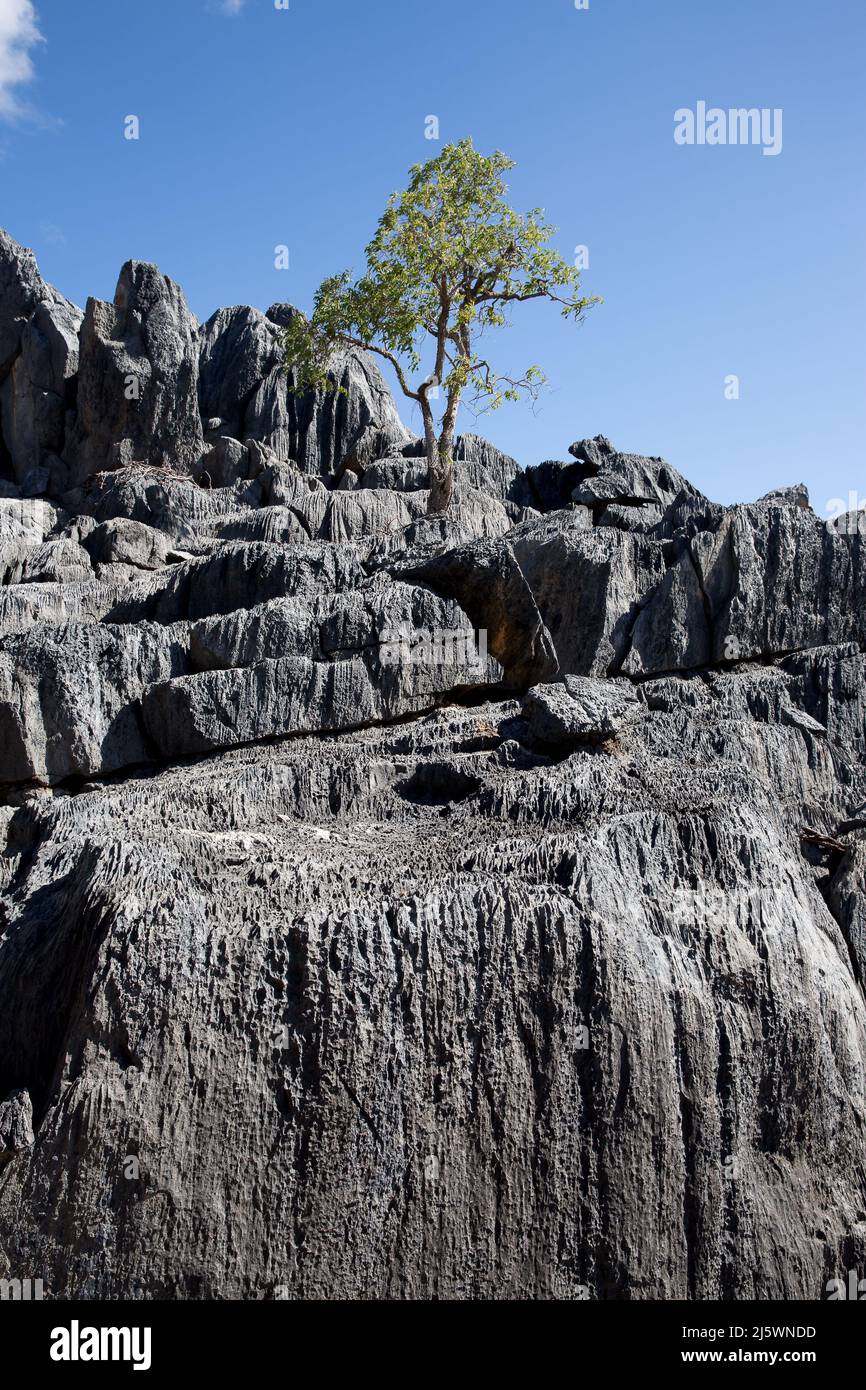 Balancing Rock at Chillagoe Mungana National park in western Queensland ...