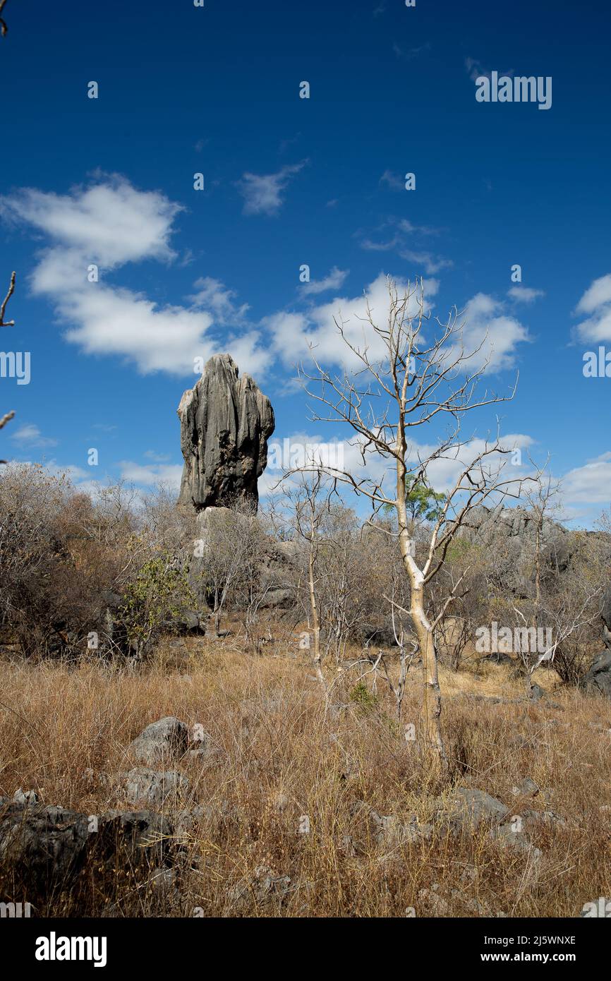 Balancing Rock at Chillagoe Mungana National park in western Queensland ...