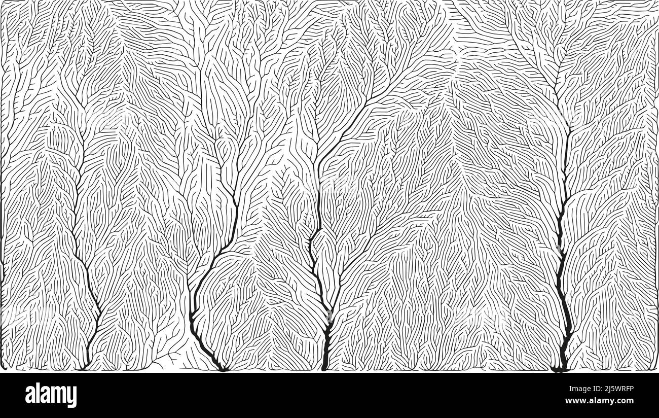 Growth pattern. Generative branching structure. Organic net of vessels ...