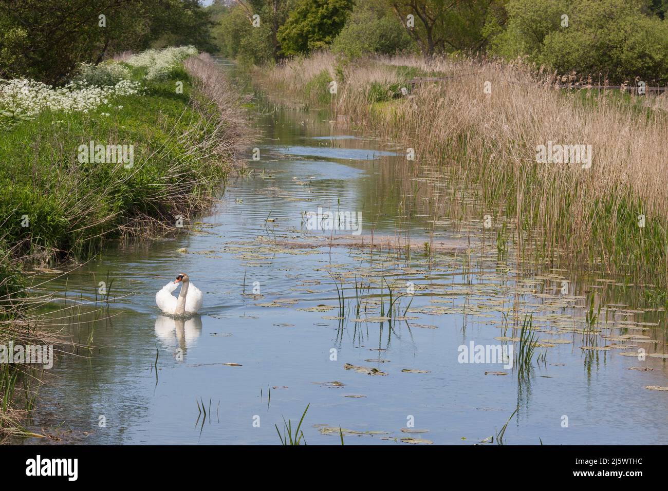 East anglian landscape hi-res stock photography and images - Alamy