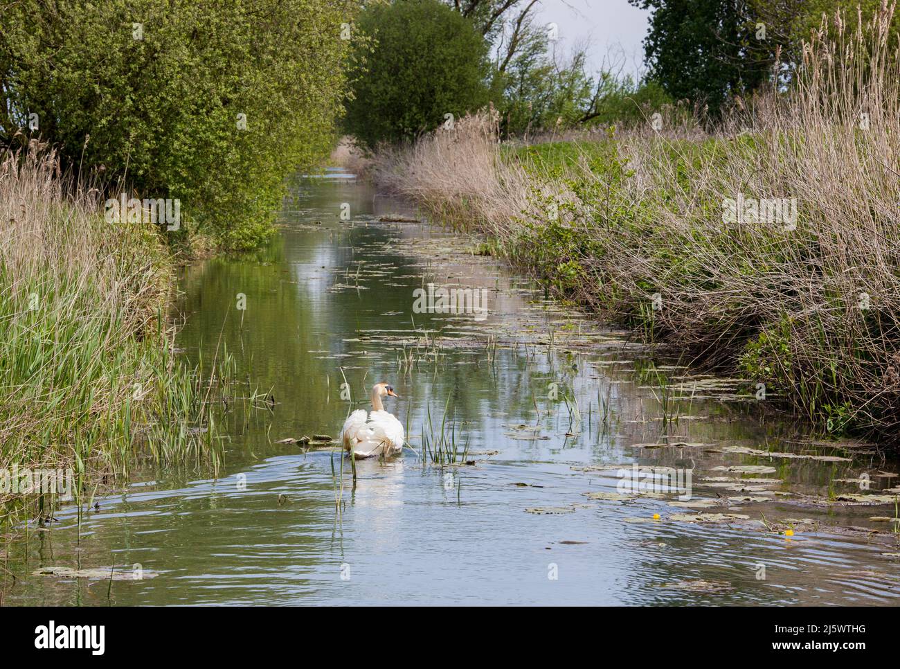 East anglian landscape hi-res stock photography and images - Alamy