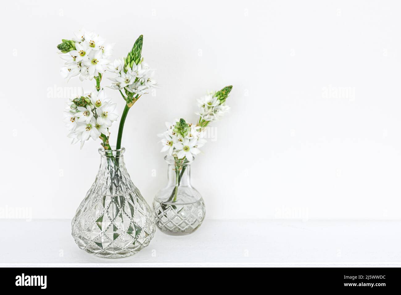 Spring flowers in glass vases isolated on white background Stock Photo ...